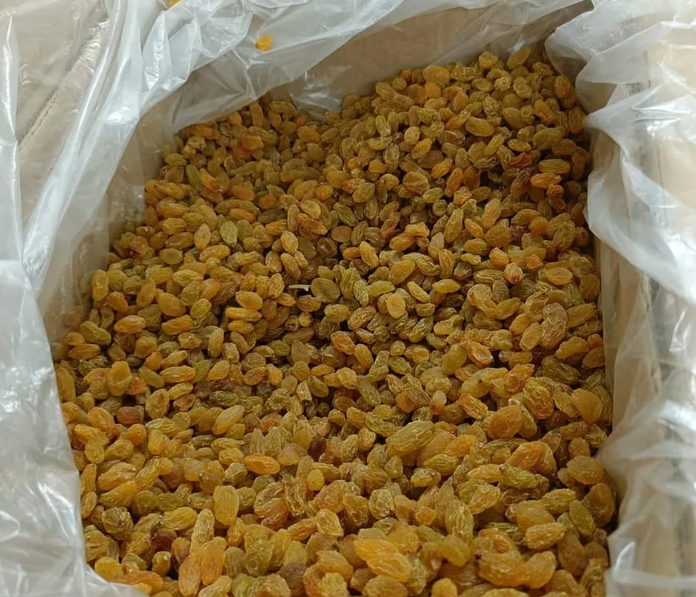 Shri Dattasamarth Sales